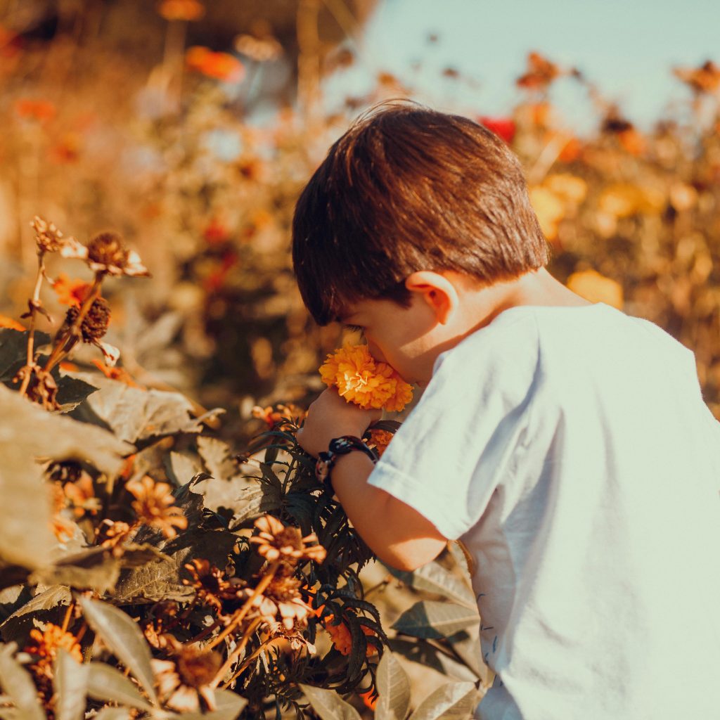 🌿 The 10 Smells of the Bush (and Why We Love Them!) | School Tours ...